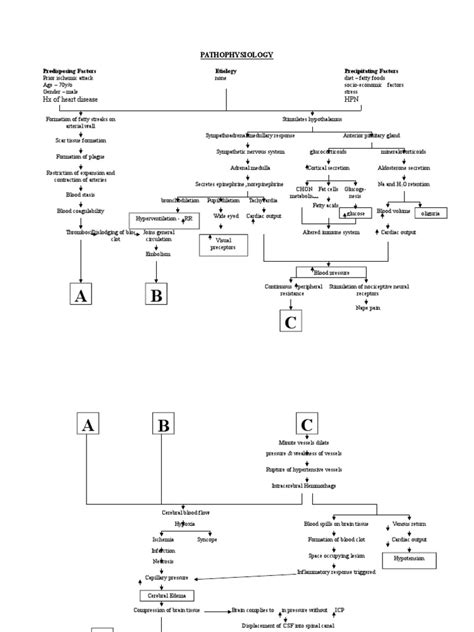 Cva Pathophysiology Pdf
