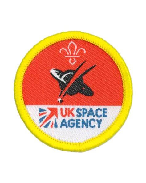 Cubs Disability Awareness Activity Badge Sunflower Cub Scouts Badges