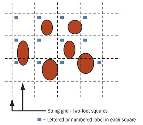 CSI Unit 1 Forensics Flashcards Quizlet
