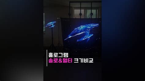 홀로그램 대형 소형 크기 비교｜홀라이트 네이버 Tv