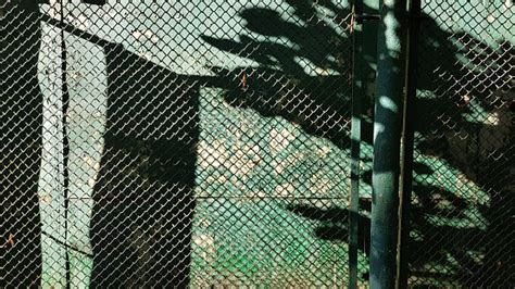 그런지 녹색 고민 벽에 추상그림자 와이어 메쉬 울타리로 보호 흐릿한 나무 단풍과 추상적 인 그림자의 그림자를 발견했다 빛과 그림자 배경 녹색 톤의 지저분한 텍스처 0명에