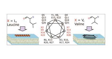 Secondary Structure In De Novo Designed Peptides Induced By Electrostatic Interaction With A