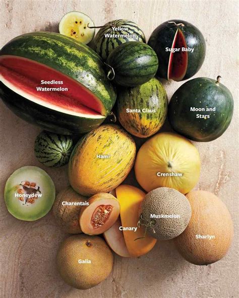 Melon Varieties Artofit