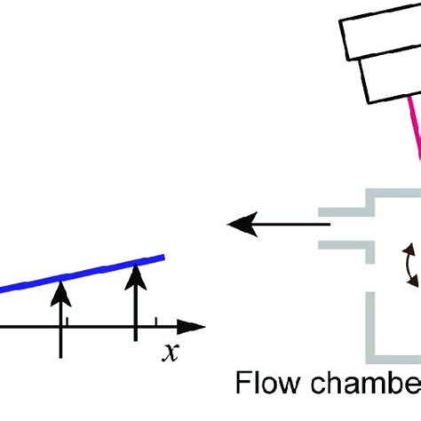 Design Of The Flow Sensor Cantilever Bending Is Induced By The Flow Download Scientific