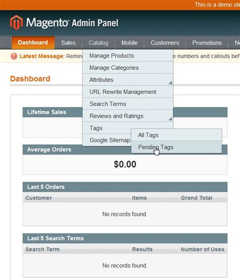 Approving Pending Tags In Magento Inmotion Hosting