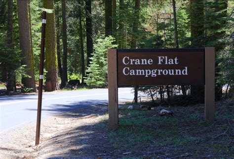 Crane Flat Campground Discover Yosemite National Park