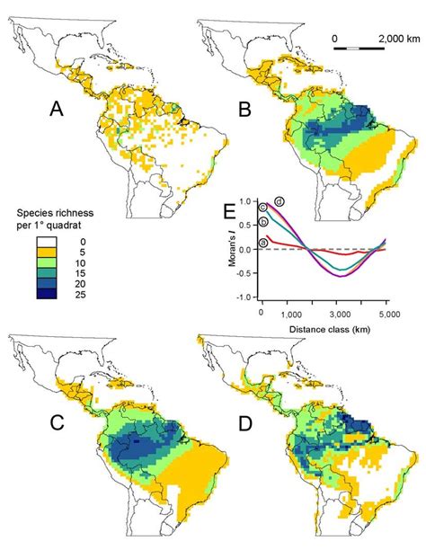 3 Species Richness And Spatial Autocorrelation Patterns Of Bactris At