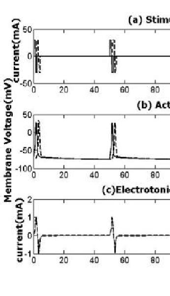 The Biphasic Stimulation Current Waveform Download Scientific Diagram