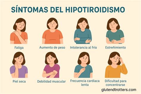 Dieta Del Hipotiroidismo Autoinmune Guía Completa Experiencia Real Y