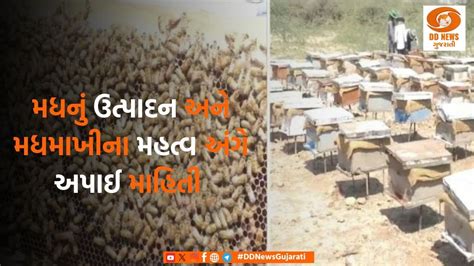 આણંદ કૃષિ યુનિ ના વિદ્યાર્થીઓએ મધમાખી ઉછેર કેન્દ્રની લીધી મુલાકાત Youtube