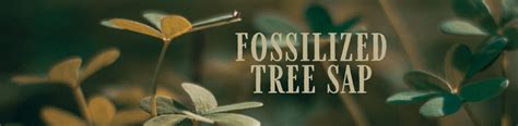 Fossilized Tree Sap ~ Creative Market