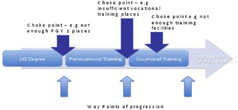 Choke Points Or Areas Of Congestion Within The Health Training System Download Scientific