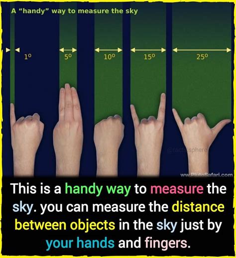 Mind Blowing Facts Quotes