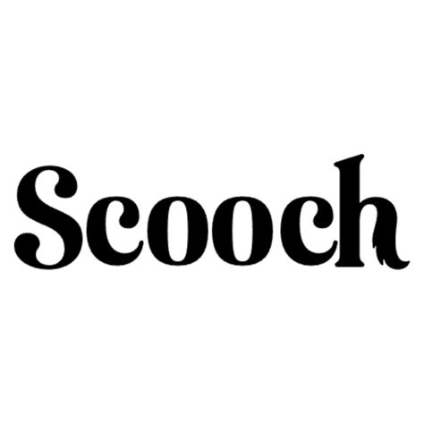 Reviews And Experiences About Scooch In 2026