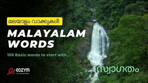 90 Basic Malayalam Words In English For Beginners Essential Words Only