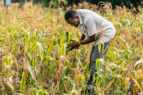 Future Food Tech San Francisco 2025 Global Alliance For The Future Of