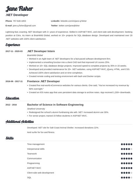 Net Developer Resume Samples Experienced And Entry Level