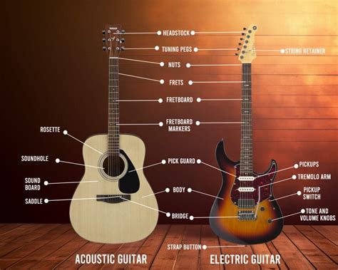 Anatomy Of The Guitar Guitar Anatomy What Every Part Is Called On