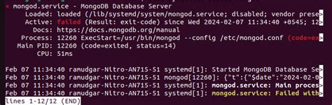 Troubleshooting Mongodb Startup Issues Resolving Failed Service And