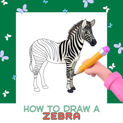 How To Draw A Zebra Body Step By Step