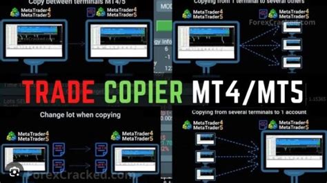 Robot Copy Forex Bot Copy Lệnh đa Nền Tảng Siêu Tốc độ Trên Mt4