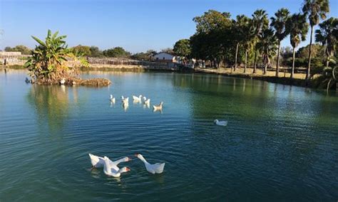 Grootfontein Namibia 2024 Best Places To Visit Tripadvisor