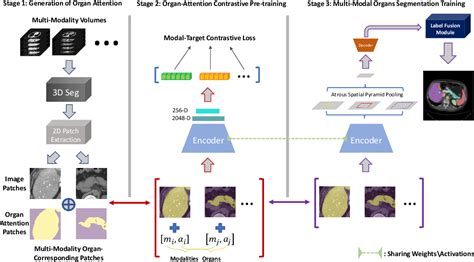 Figure 2 From Attention Guided Supervised Contrastive Learning For Semantic Segmentation