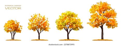 Forest Grass Elevation Landscape Scenewatercolor Plant เวกเตอร์สต็อก