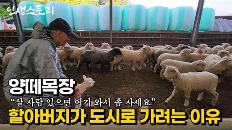 찾아가기도 힘든 해발 650m 깊은 산골짜기에 가축들을 기르며 살아가는 70대 노부부 이야기 휴먼스토리 직업의모든것 갈간남 골라듄다큐 극한직업 Youtube