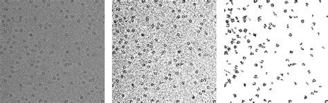Application To Particle Picking In Cryo Em A Original Micrograph Download Scientific