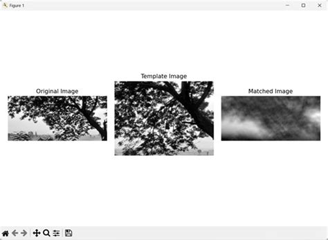 template matching in mahotas