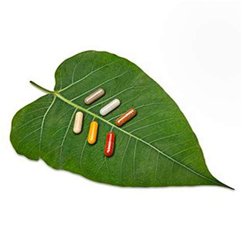 HPMC Capsules At Best Price In Mumbai By ACG Associated Capsules Private Limited ID