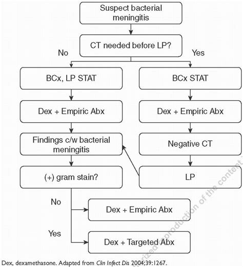 Meningitis Encephalitis And Brain Abscesses Neupsy Key