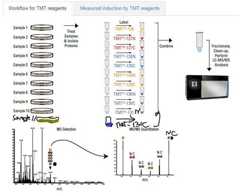 News In Proteomics Research Tmt 11plex Kits Are Live