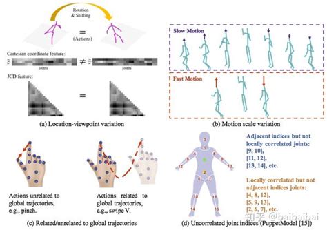 使基于骨架的动作识别模型更小，更快和更好 论文阅读 知乎