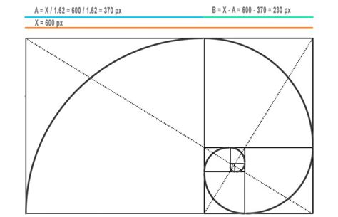 Calculadora De Proporciones Áureas El Numero De Oro Rectangulo Aureo