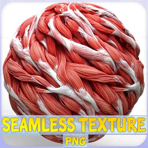 Anatomy Seamless Texture