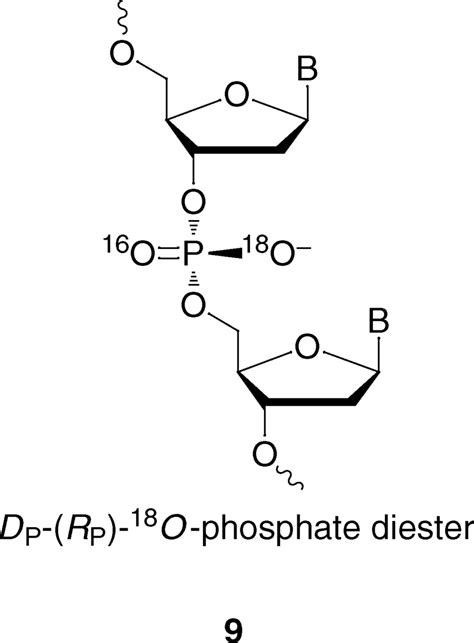 Figure A1e9 D P L P Notation For Isotopomers Download Scientific