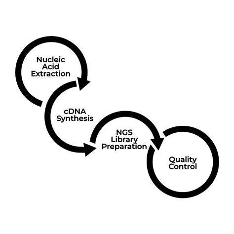 NGS Sample Preparation CDNA Synthesis And Library Construction