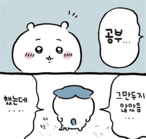 이 짤 원본 찾고 싶어요 지식in