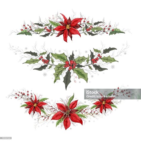 벡터 꽃 배너 겨울 장식 요소 흰색 배경에 고립 된 포인세티아와 홀리 장식 손으로 그린 현실적인 낙서 엽서 장식 브러시 배경