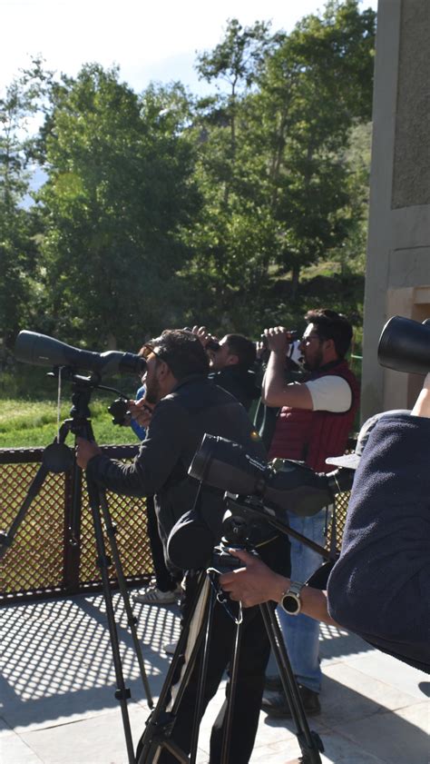 Himalayan Brown Bear Trust Himalayanbrownbeartrust • Instagram