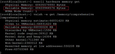 Using Memory Mirroring And Address Range Mirroring In VMware ESXi On