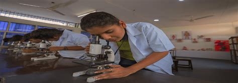 Everything You Need To Know About Theoretical Learning Vs Practical