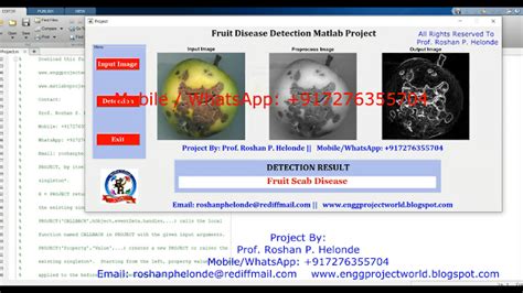 Fruit Disease Detection Using Image Processing Fruit Disease