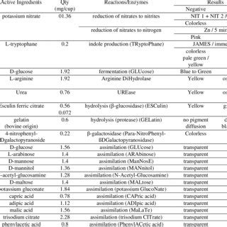 Interpretation Table Of API STAPH Test Adapted From BioMerieux Com Download Scientific Diagram