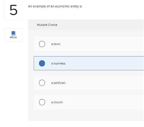 Solved An Example Of An Economic Entity Is 5 Multiple Choice