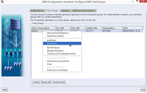 Asm Automatic Storage Management Oracle Brasil