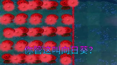 植物大战僵尸你管这叫向日葵 腾讯视频