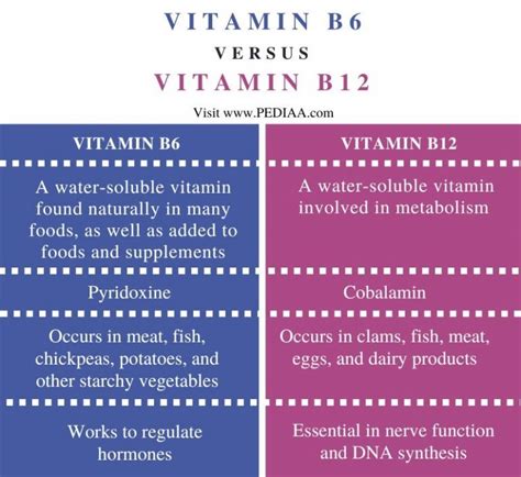 Vitamin B1 B6 B12 Pregnancy At Stormy Shumate Blog